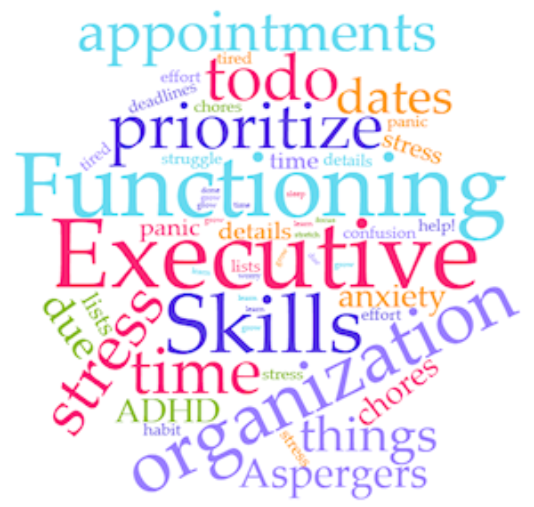 Executive Functioning Skills > Andrea's Ideas